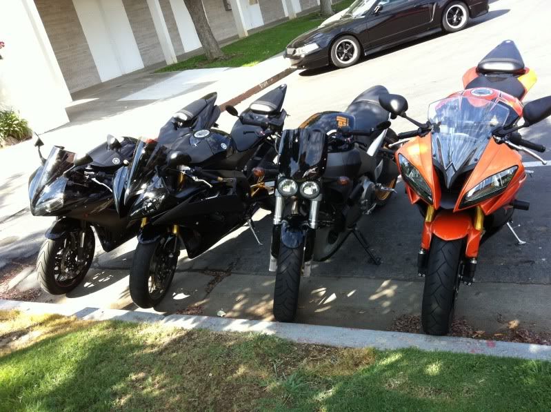 Can you guess... | Buell Motorcyle Forum
