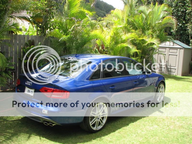 Help Please - Blue - AudiWorld Forums