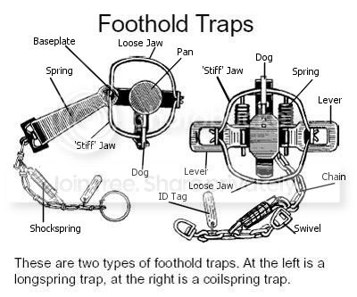 The Barbaric Leghold Trap | First Page | Forum | Gaia Online