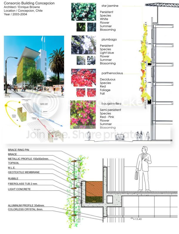 Consorcio Building | Woodbury / Ari Bhod Design Build Studio