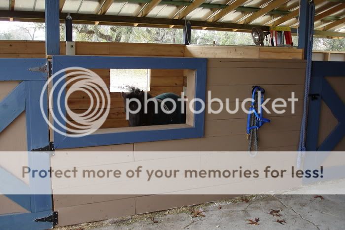 Homemade Stall Fronts | Miniature Horse Talk Forums