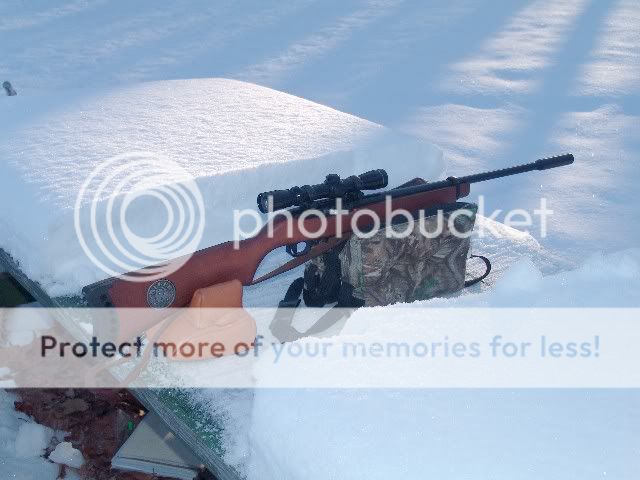 Cold Barrel's? | Rimfire Central Firearm Forum