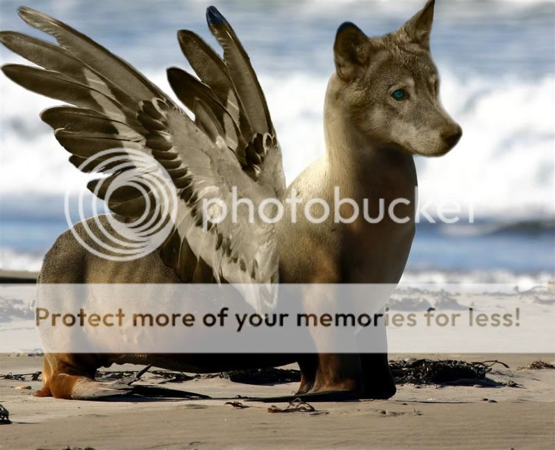 View topic - Temp: Chimera - Chicken Smoothie