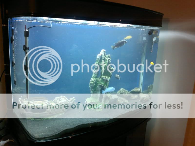 370 liter fish tank - Bazaar - NZHondas.com